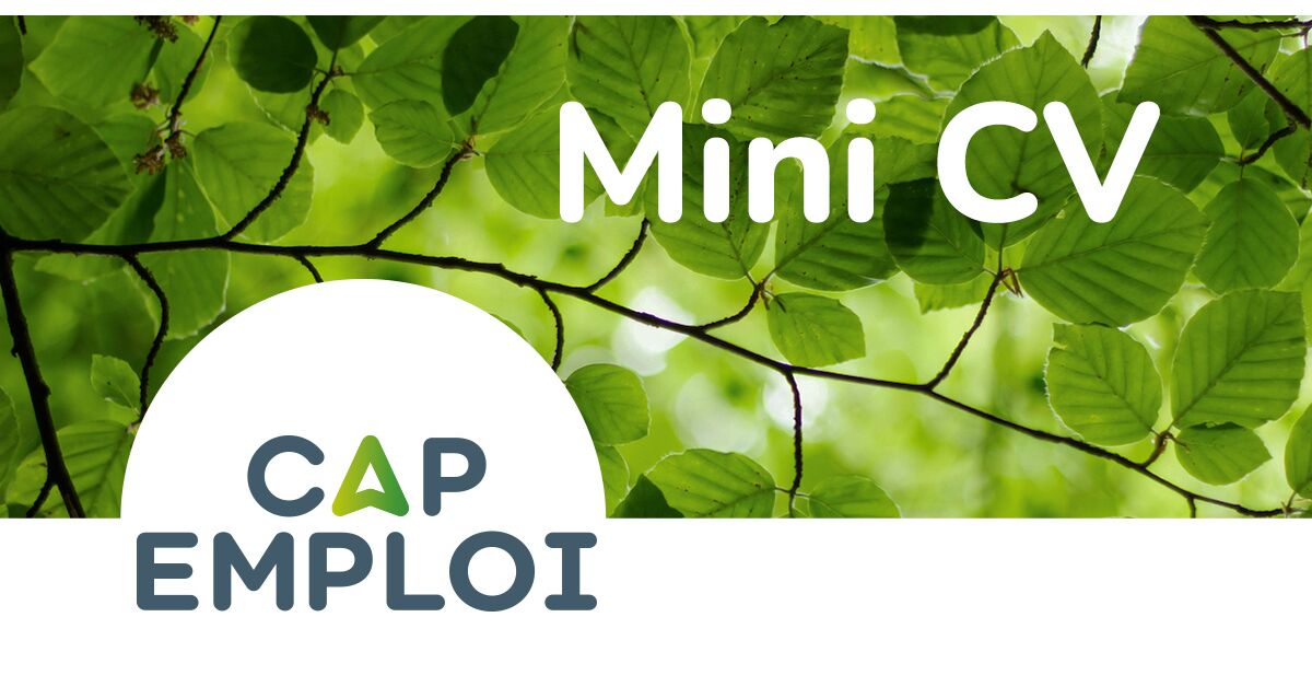 Ateliers entretien d'embauche et mini CV - Cap emploi 11